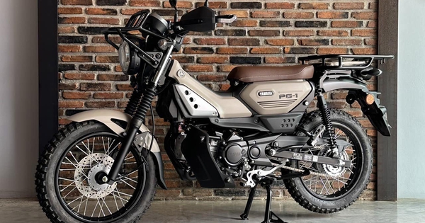 Ảnh chi tiết 3 bản độ chính hãng Yamaha PG-1: Giá cao nhất gần 11 triệu ...